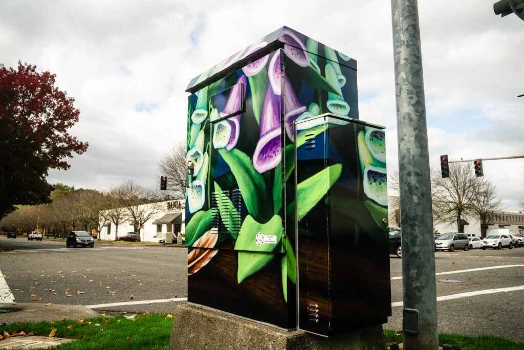 2023 UTILITY BOX ARTISTS - City of Tukwila