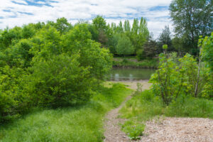 Codiga Park - City of Tukwila